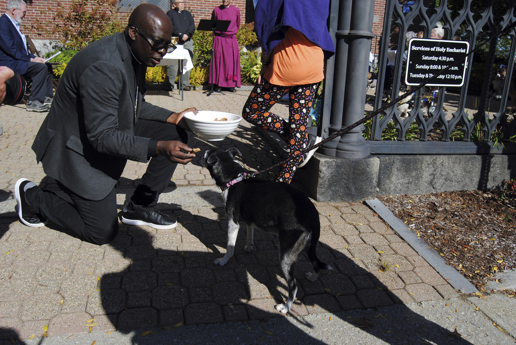 Bring your pets to church, Haitian immigrant priest tells worshippers ... Bring your pets to church, Haitian immigrant priest tells worshippers ...